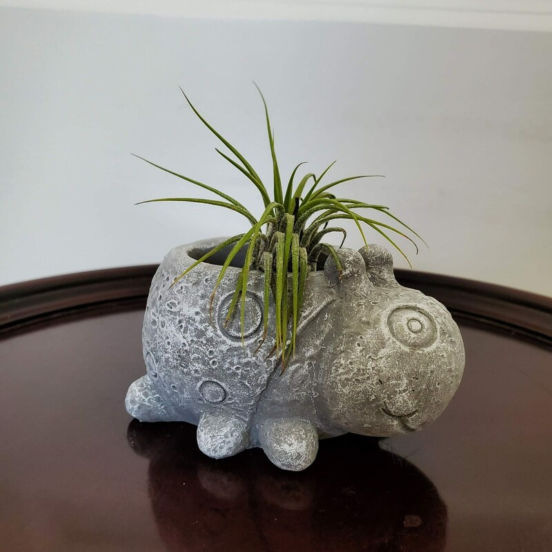 Ladybug Planters - Etsy