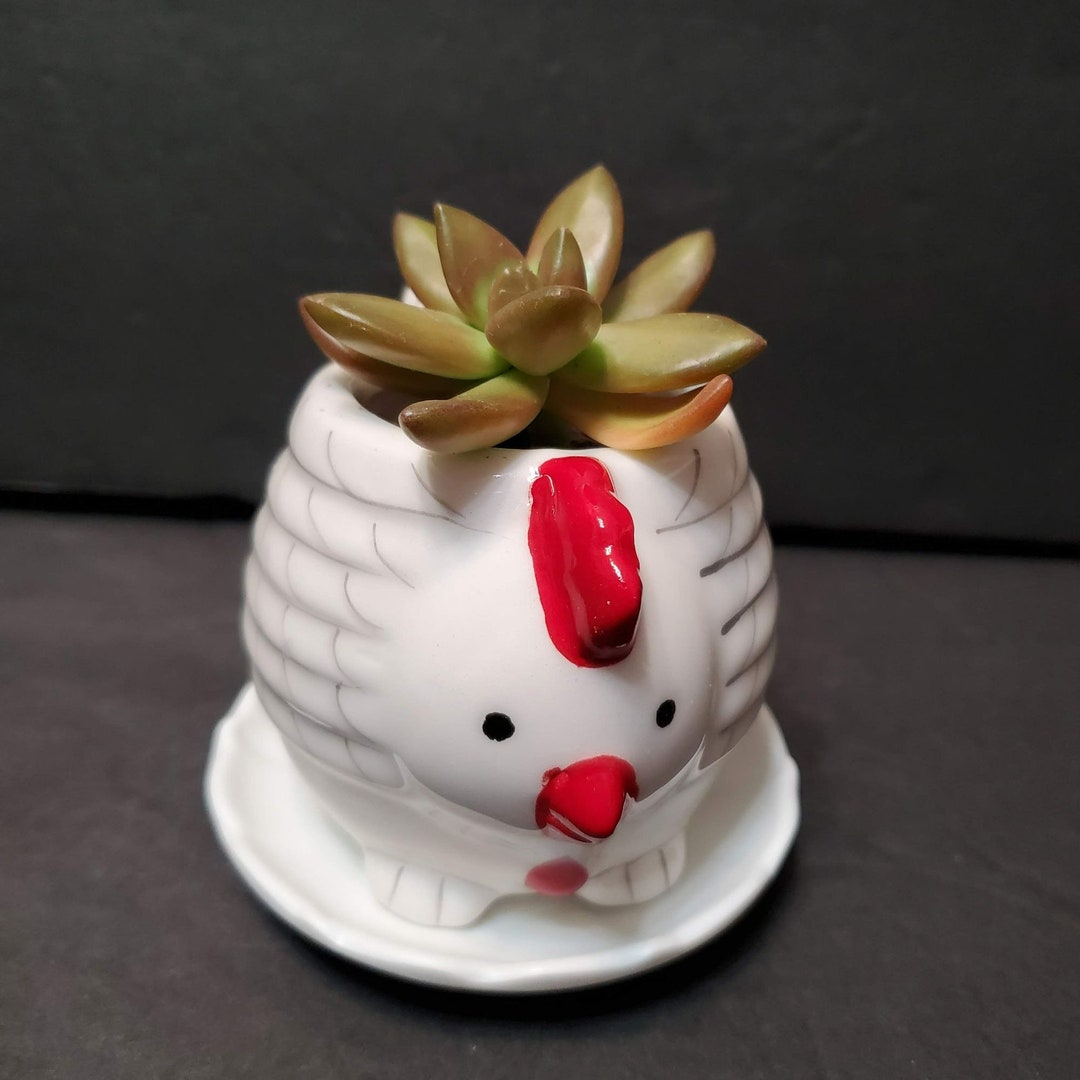 Mini Hen Planter With Succulent, Chicken Planter, Houseplant Gift ...