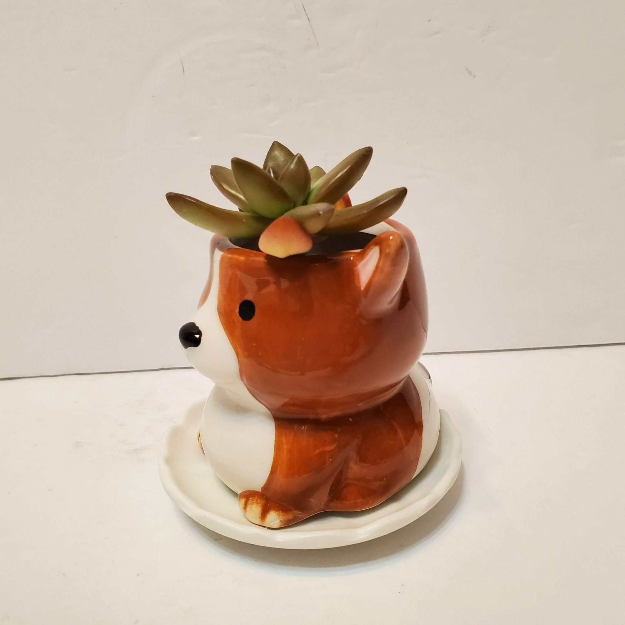 Mini Dog Planter With Succulent, Animal Planter, Houseplant Gift, Corgi ...