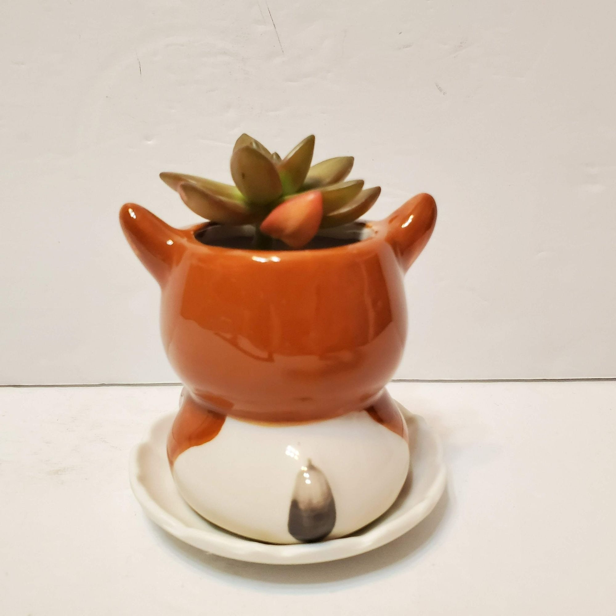 Mini Dog Planter With Succulent, Animal Planter, Houseplant Gift, Corgi ...