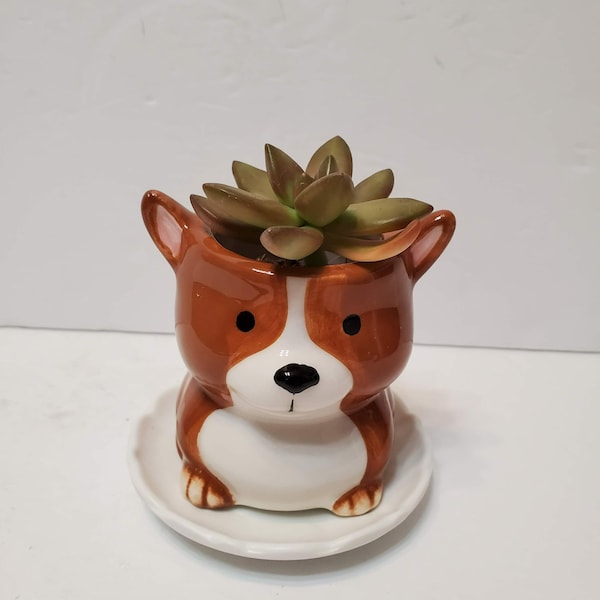 Corgi Planter - Etsy