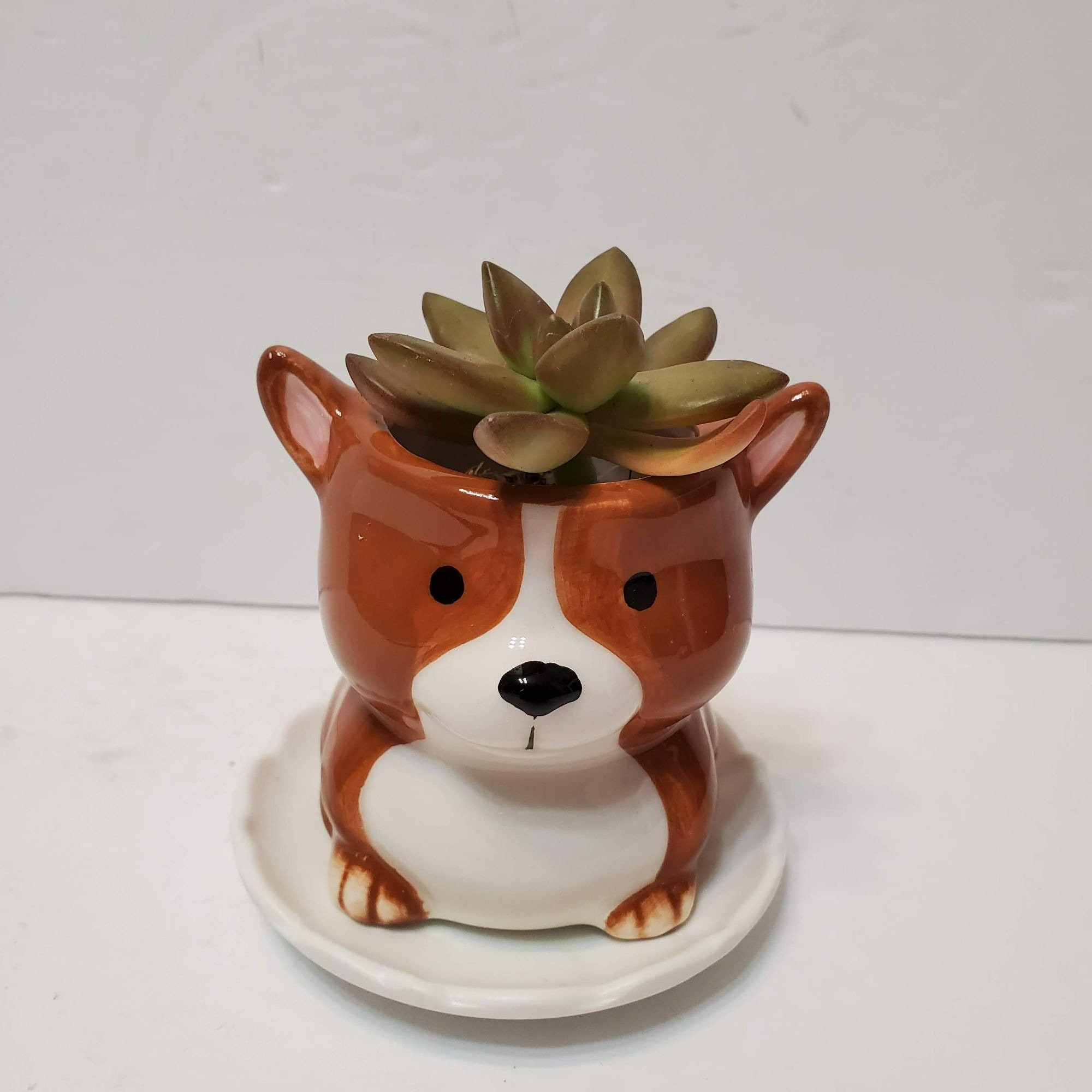 Mini Dog Planter With Succulent, Animal Planter, Houseplant Gift, Corgi ...