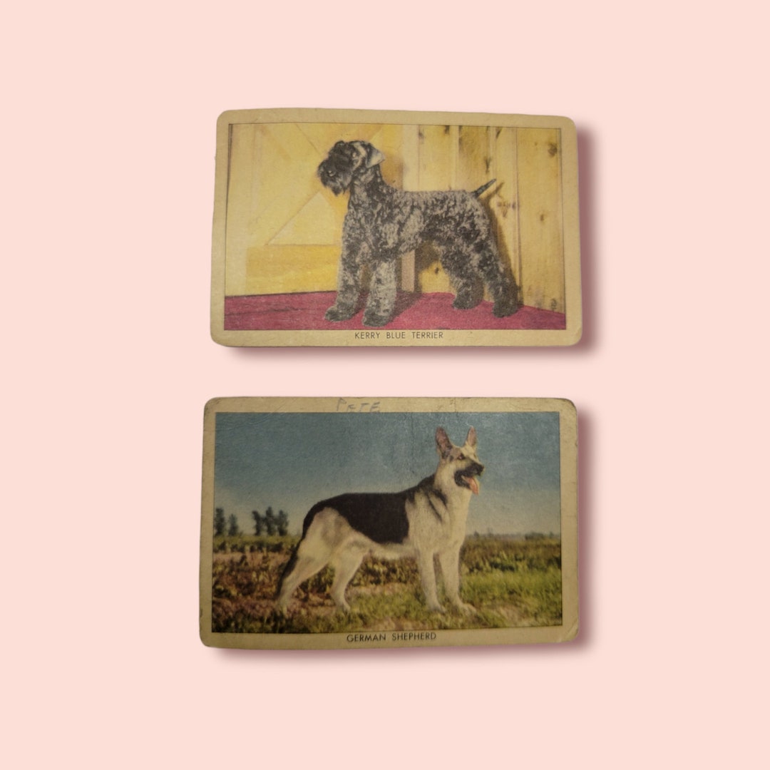 Vintage Quaker Oats challenge of the Yukon Dog - Etsy