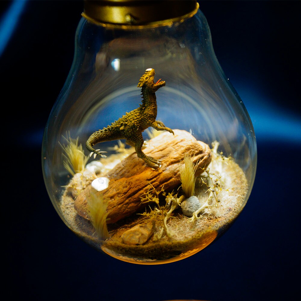 Diorama in a Lamp. A Unique Decorative Diorama Lamp With the ...
