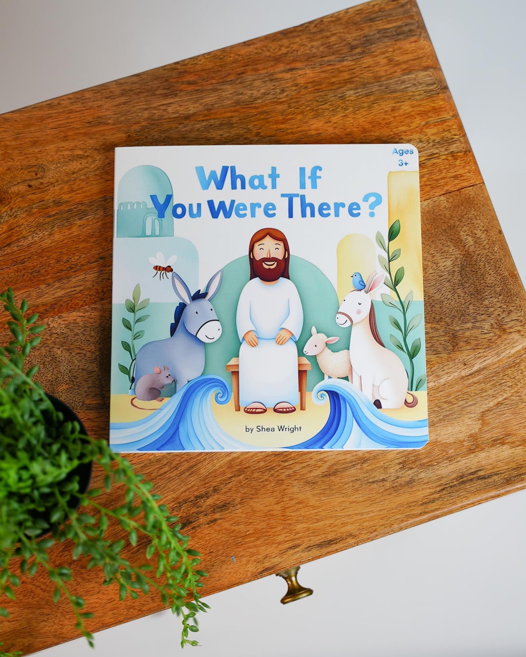 PRE-ORDER ONLY: Christian Children's Book- What If You Were There? - Etsy