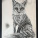 Hand-drawn Black & White Fox in the Snow – Minimal Line Drawing ...