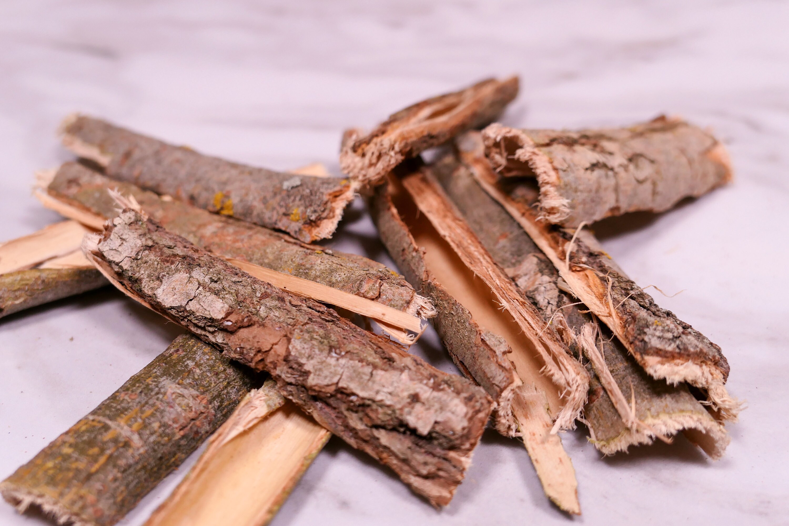 Bunny Forage Willow Bark Natural Forage for Rabbits - Etsy UK