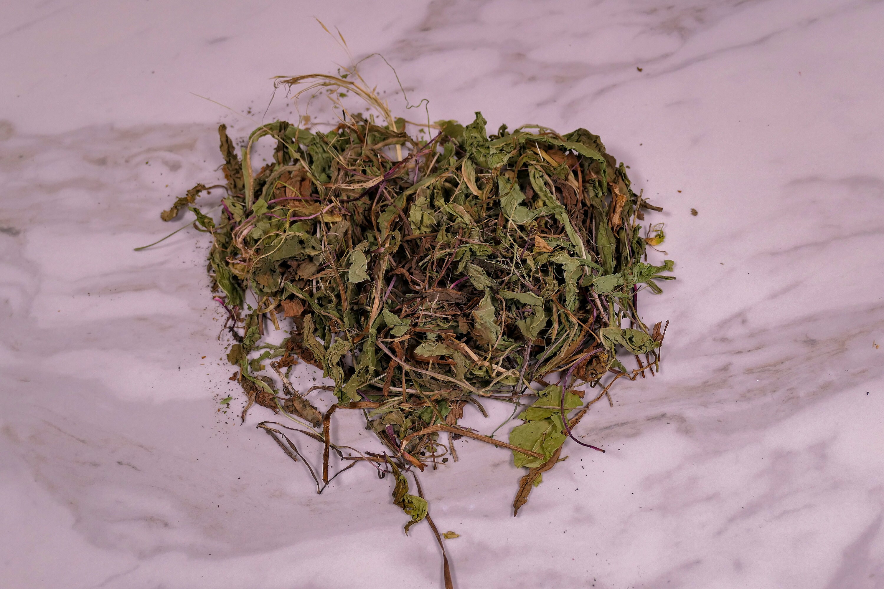 Dandelion Leaves | Natural Forage for Rabbits - Chinchillas - Guinea ...