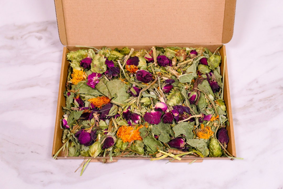 Summer Garden Forage Box | Natural Forage for Rabbits - Chinchillas ...