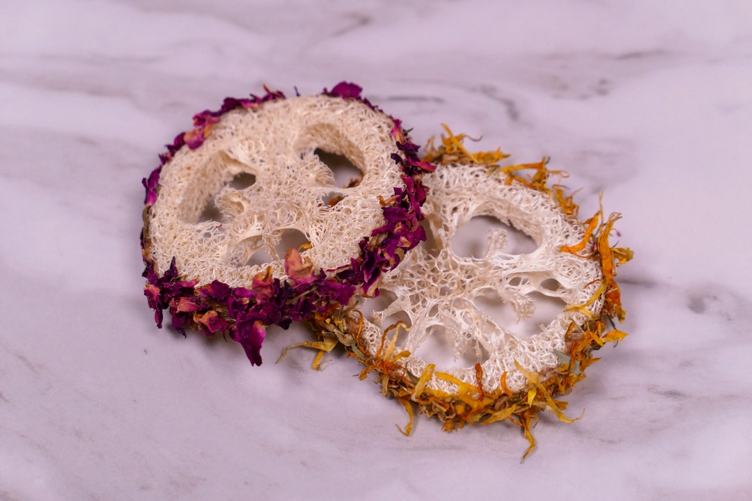 Bunny Floral Loofahs Flavoured Loofah for Rabbits Hamsters Guinea Pigs ...
