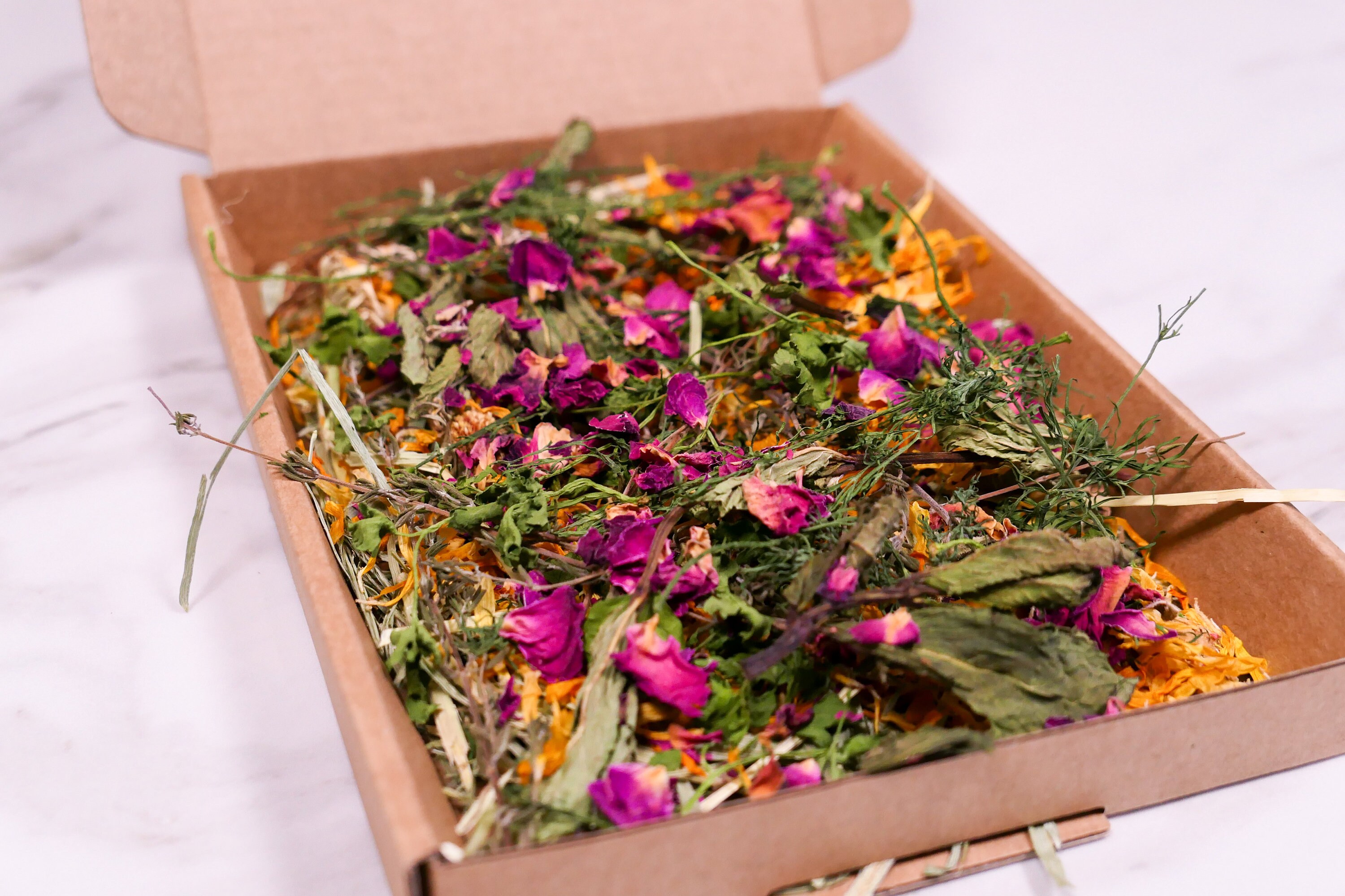 Bunny Herb Garden Mini Forage Box Natural Forage for Rabbits | Etsy UK