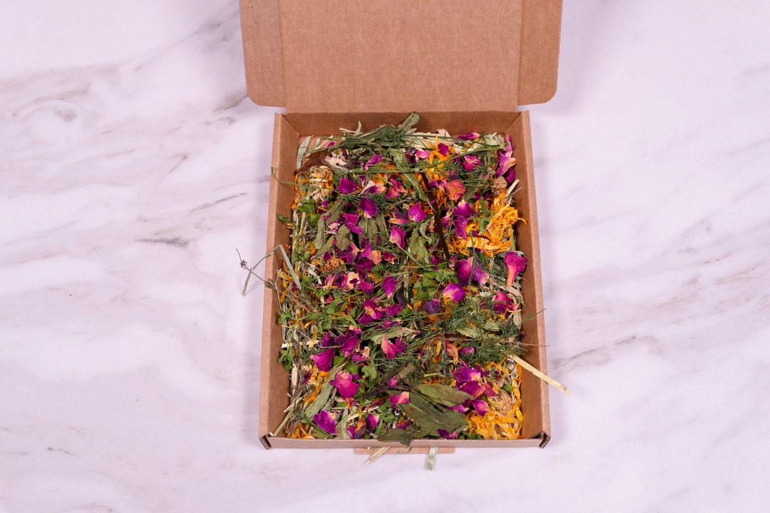 Bunny Herb Garden Mini Forage Box Natural Forage for Rabbits ...