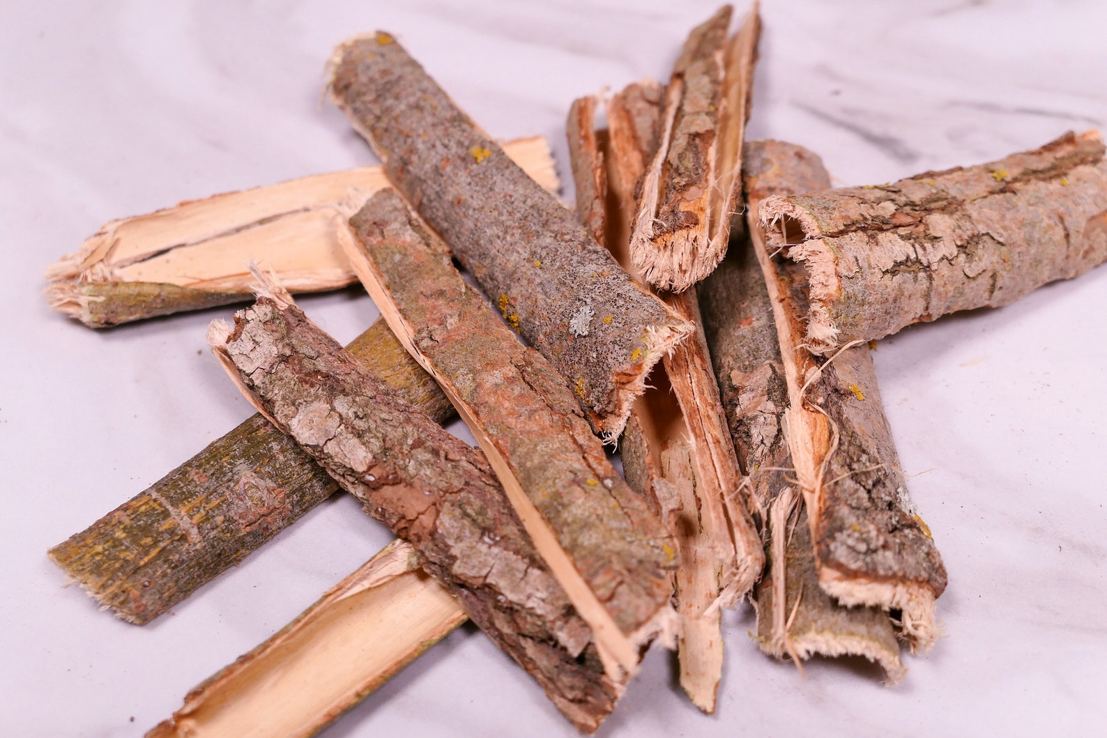 Bunny Forage Willow Bark Natural Forage for Rabbits - Etsy UK