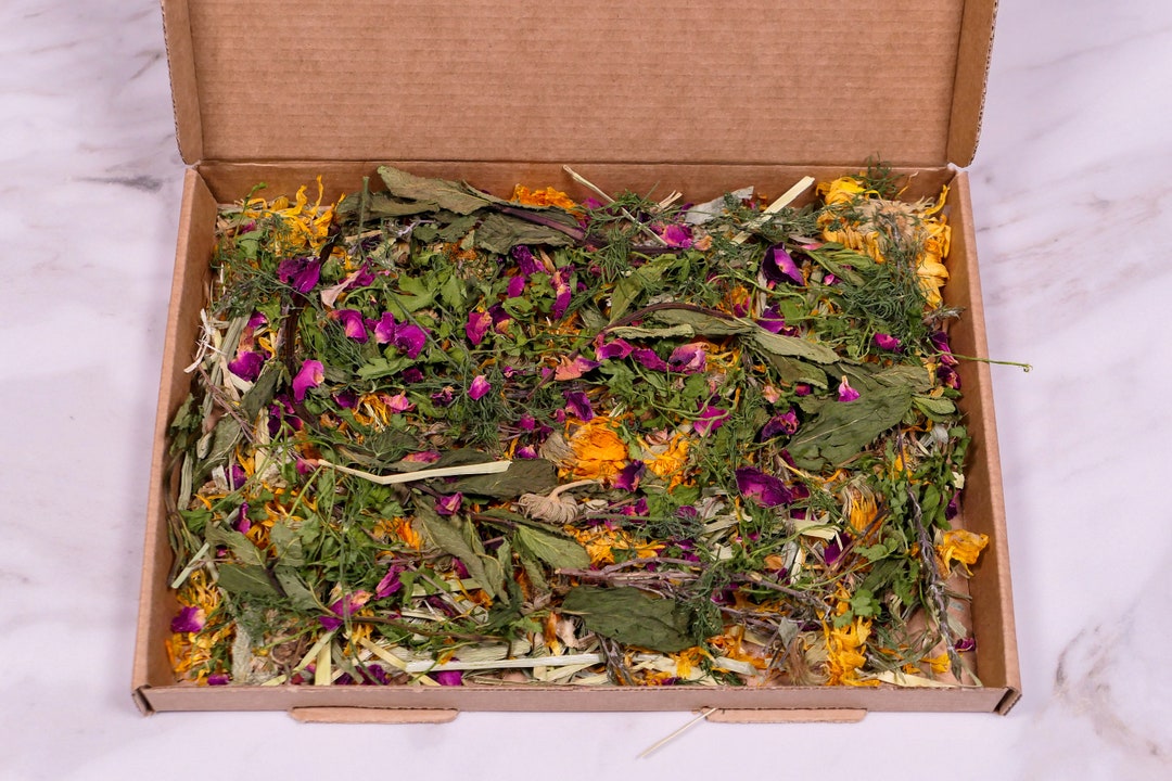 Bunny Herb Garden Forage Box Natural Forage for Rabbits Chinchillas ...