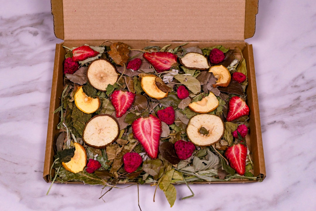 Bunny Fruity Forest Forage Box Natural Forage for Rabbits - Etsy