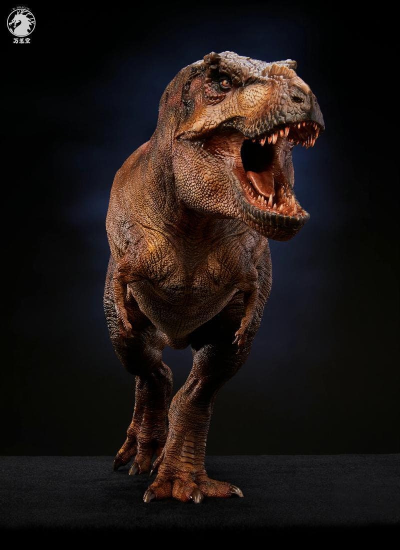 Wdragon's Authentic T-rex Dinosaur Restoration Model, Great for ...