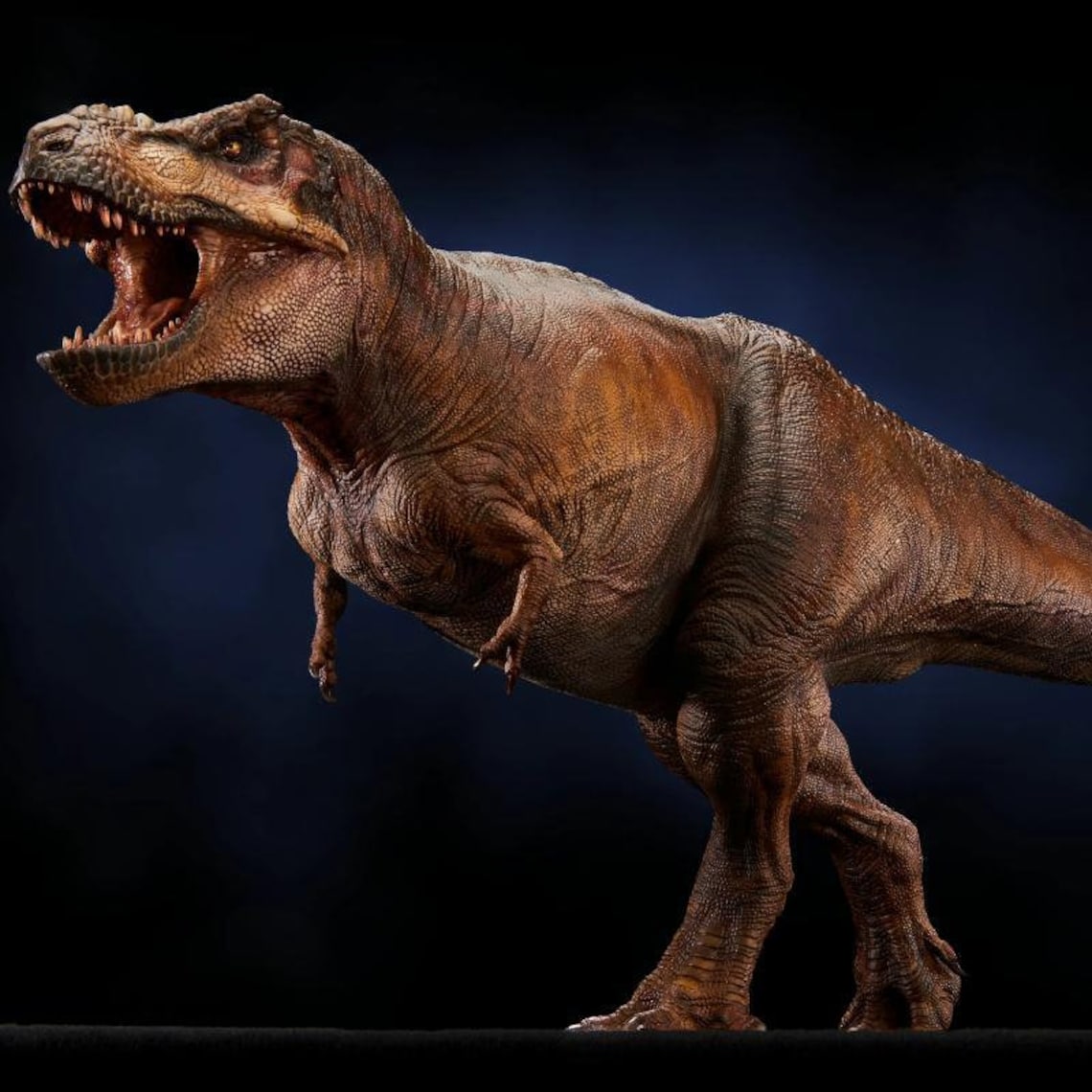 Wdragon's Authentic T-rex Dinosaur Restoration Model, Great for ...