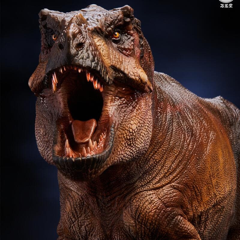 Wdragon's Authentic T-rex Dinosaur Restoration Model, Great for ...