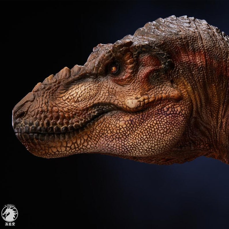 Wdragon's Authentic T-rex Dinosaur Restoration Model, Great for ...