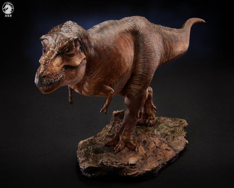 Wdragon's Authentic T-rex Dinosaur Restoration Model, Great for ...
