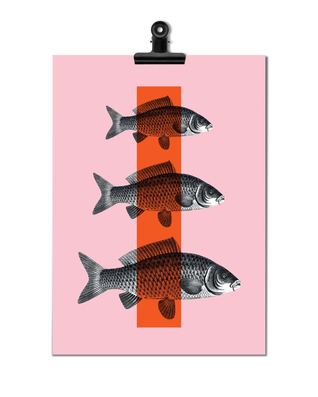3 Fish, Vintage Print, Poster, DIN A4, A3, Art Print, Collage ...