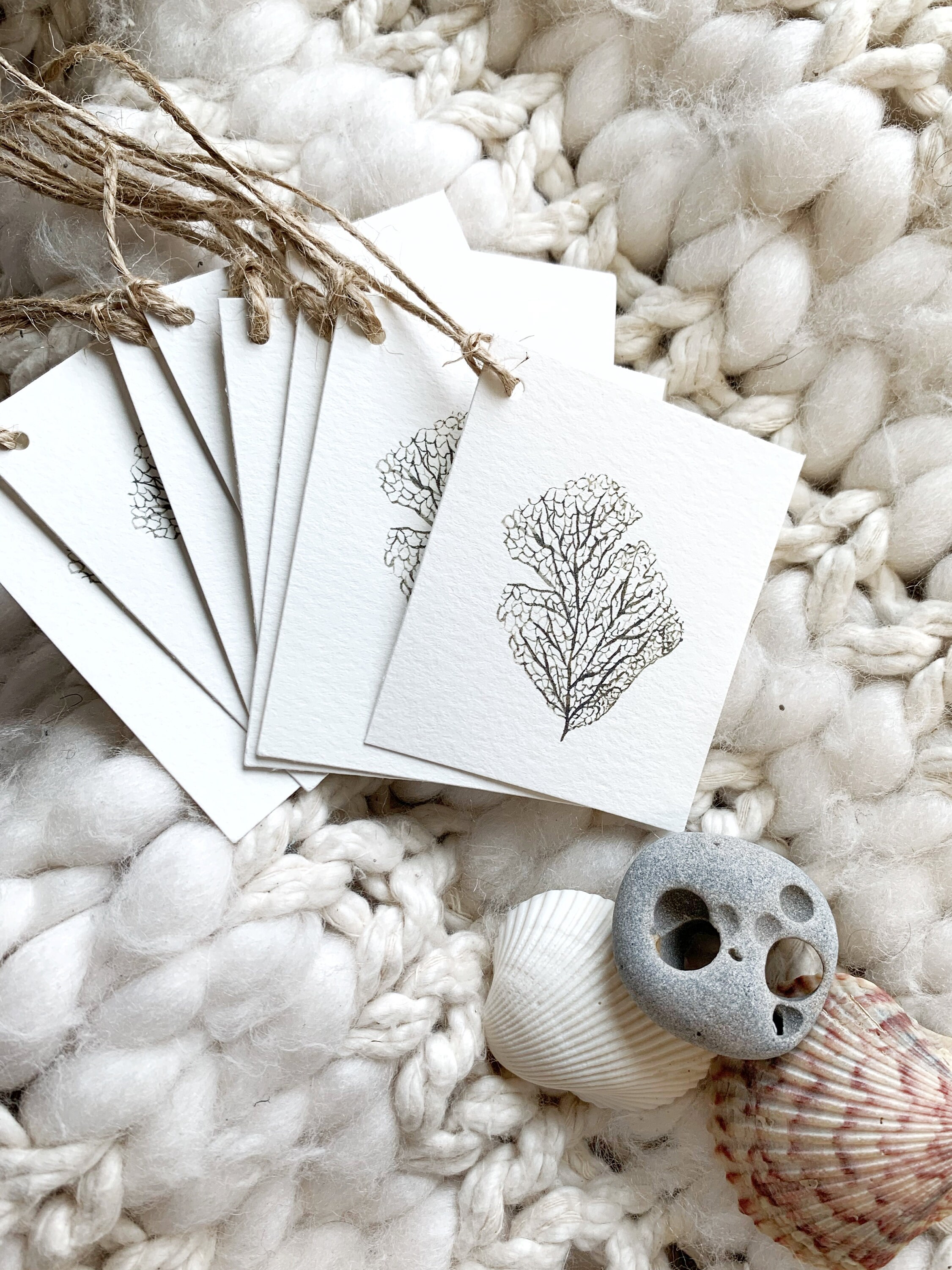 Set of 10 Coastal Gift Tags Sea Shell Gift Tag Beach Gift - Etsy