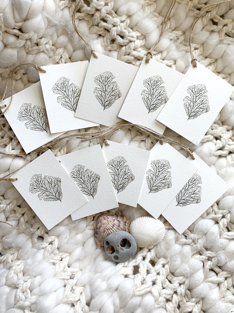 Set of 10 Coastal Gift Tags, Sea Shell Gift Tag, Beach Gift Tag ...
