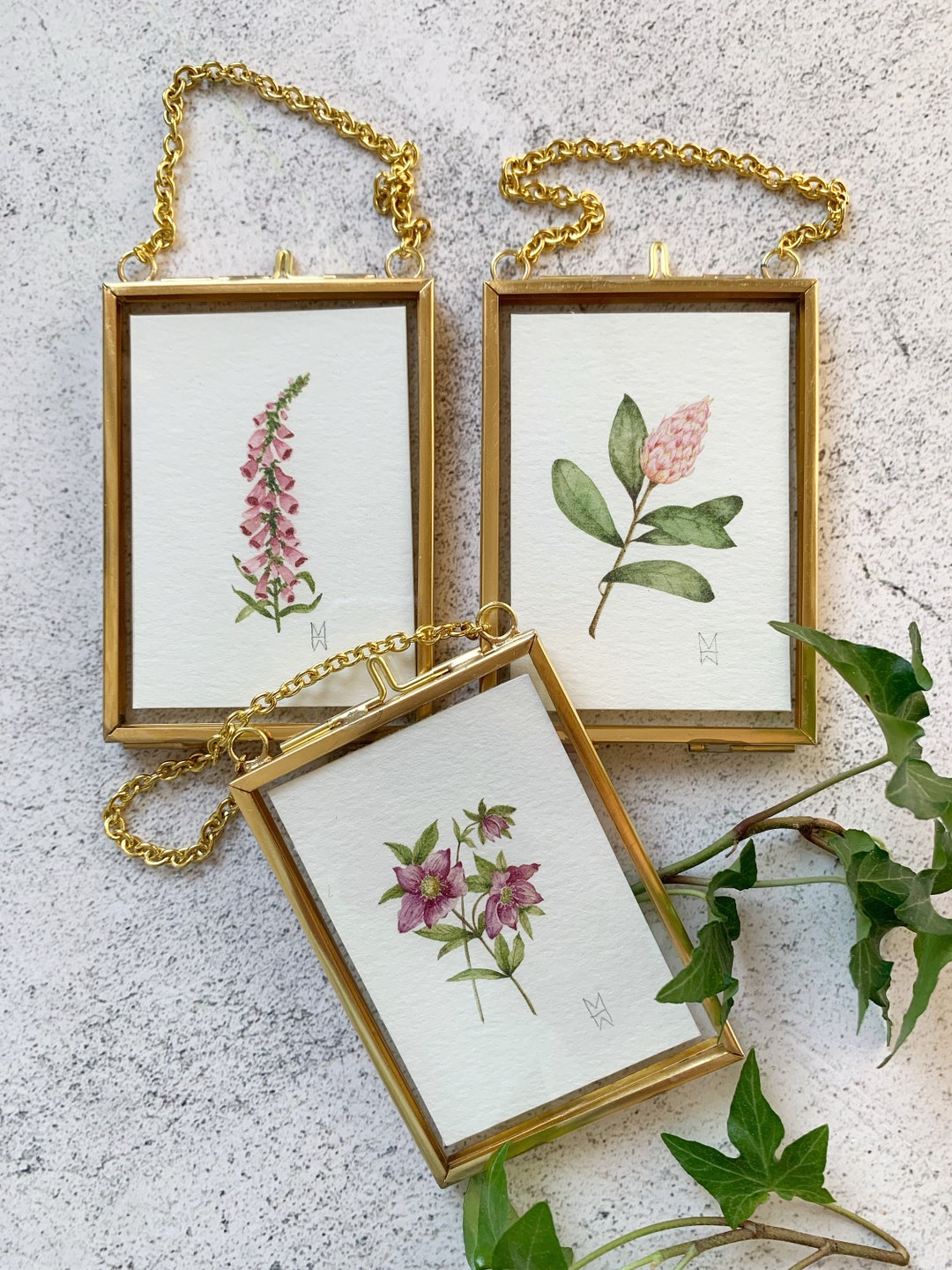 YOUR CHOICE of Flower in Hanging Frame, Mini Framed Botanical, Hanging ...