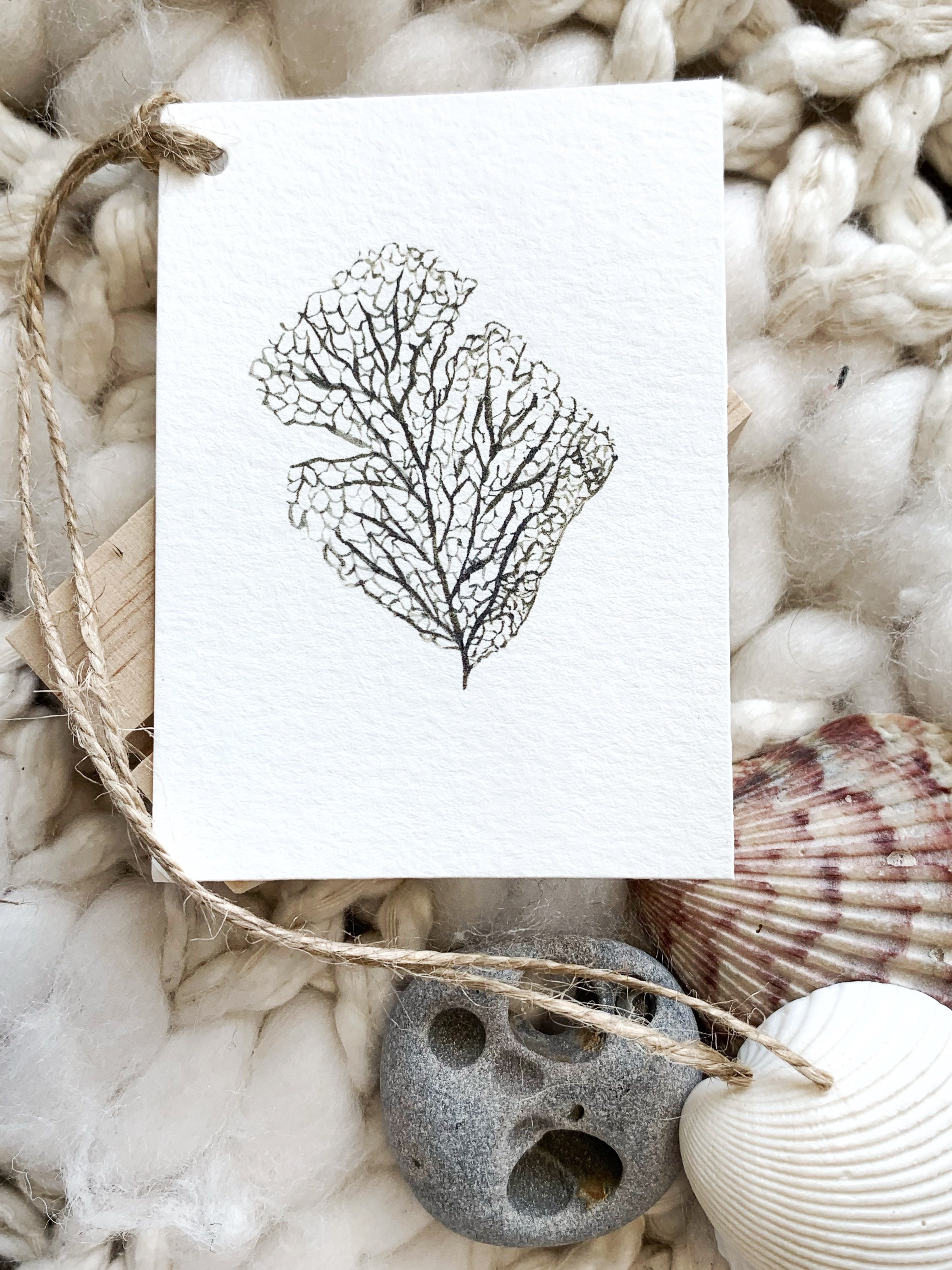 Set of 10 Coastal Gift Tags Sea Shell Gift Tag Beach Gift - Etsy