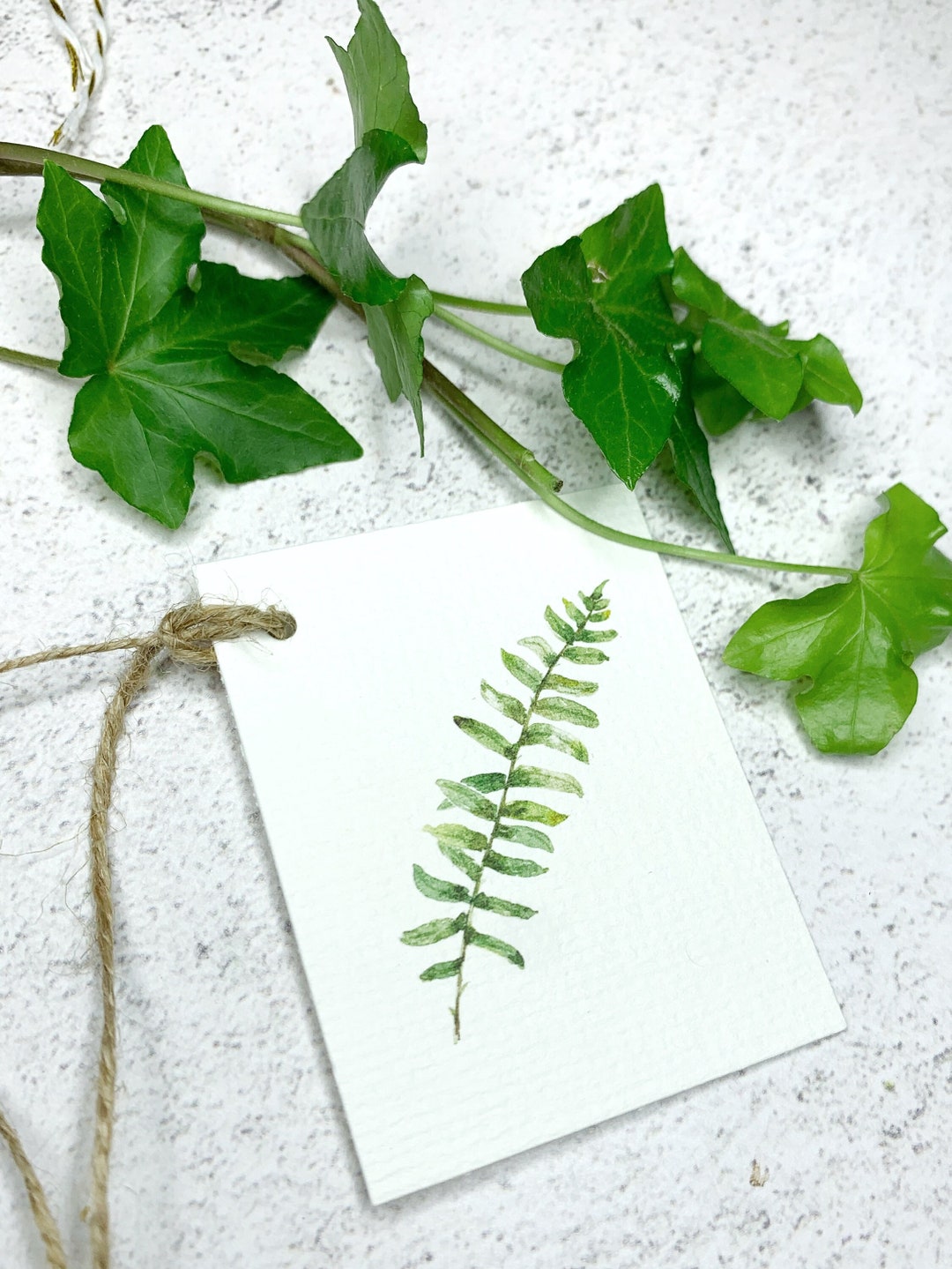 Set of 10 Watercolor Fern Gift Tags - Etsy
