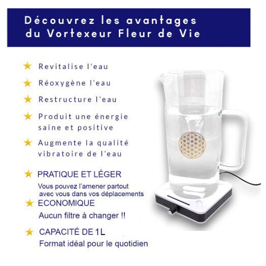 Vortex Energizing Carafe Vortex Water Energizer - Etsy