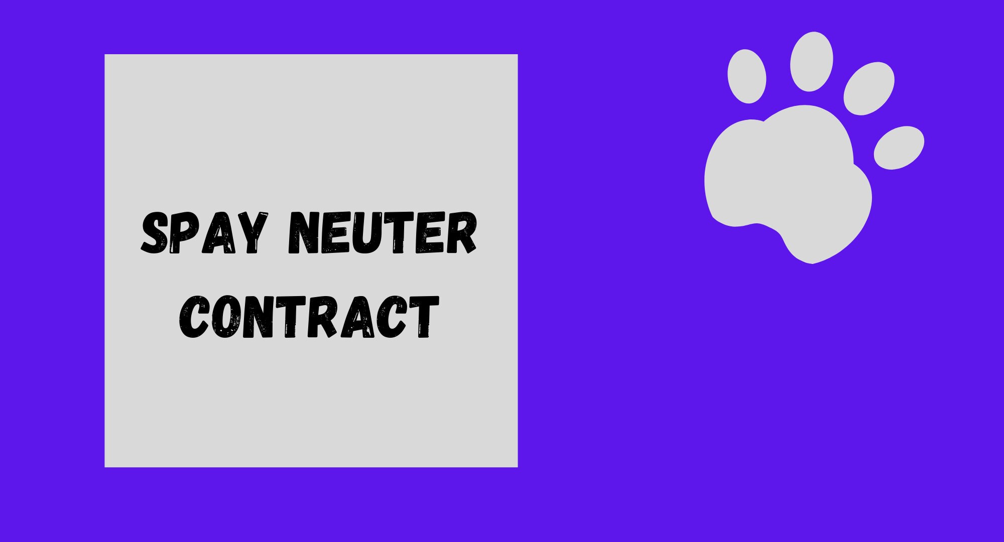 Spay Neuter Contract-breeder-dogs-cats-pets - Etsy