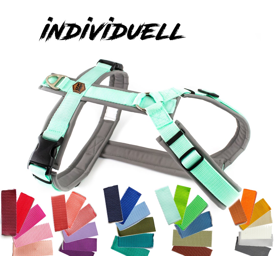 Individual Y-harness Dog Harness Lead Harness Dog Dog - Etsy