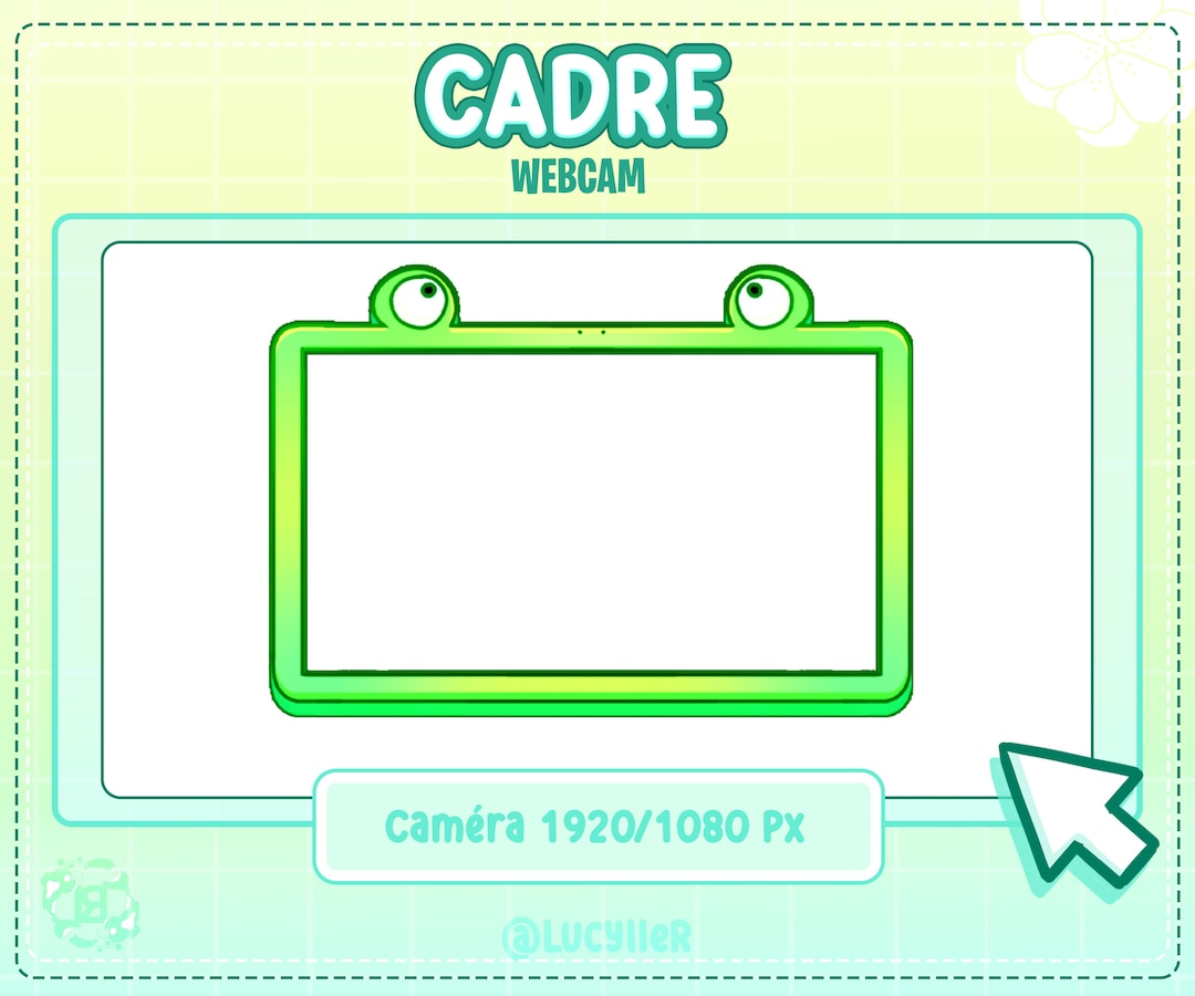 Cadre webcam grenouille twitch - overlay stream - Etsy France