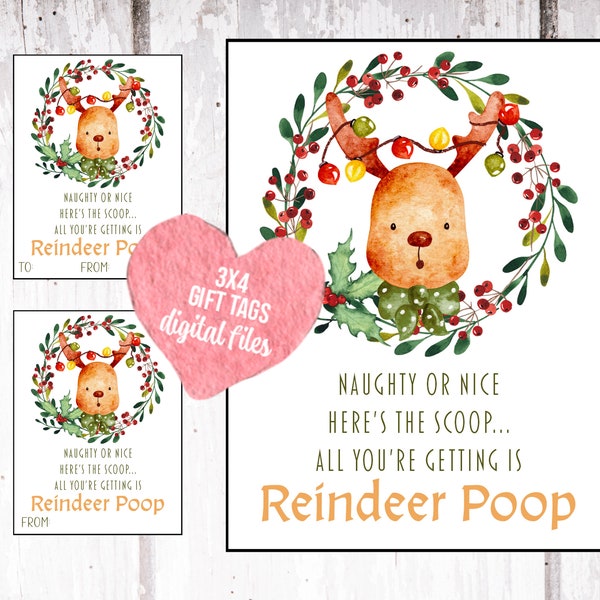 Reindeer Poop - Etsy