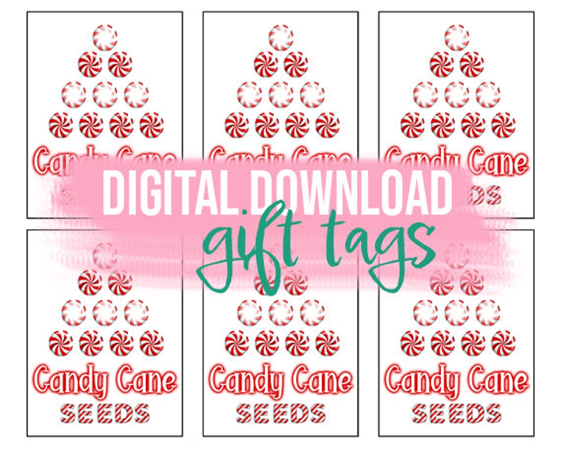 Candy Cane Seeds Gift Tag Printable Candy Cane Gift Tags - Etsy