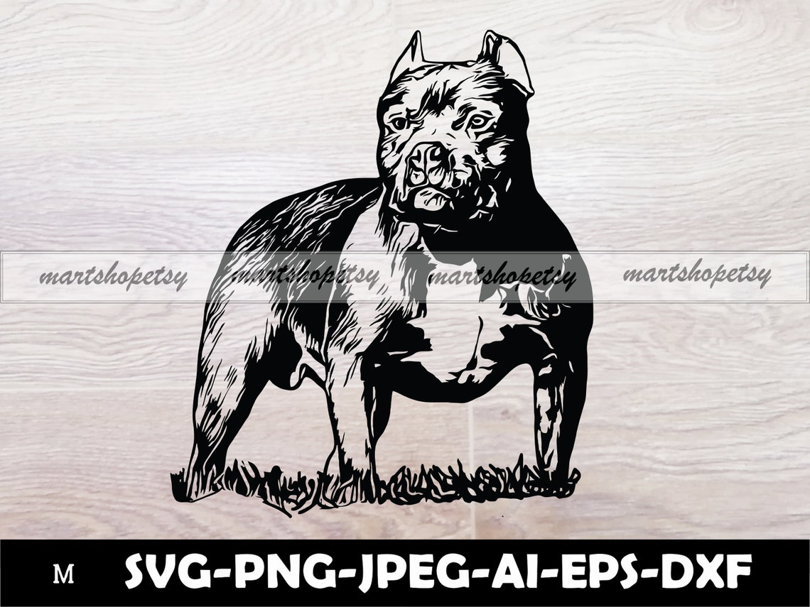 American Bully 1 Svg-png-eps-dxf-jpeg Pet Lover Dog Svg | Etsy