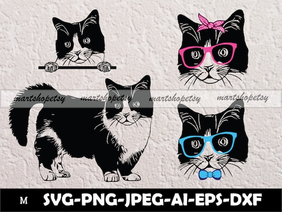 Munchkin Cat Svg Bundle Munchkin Cat Svg for Cricut Munchkin - Etsy