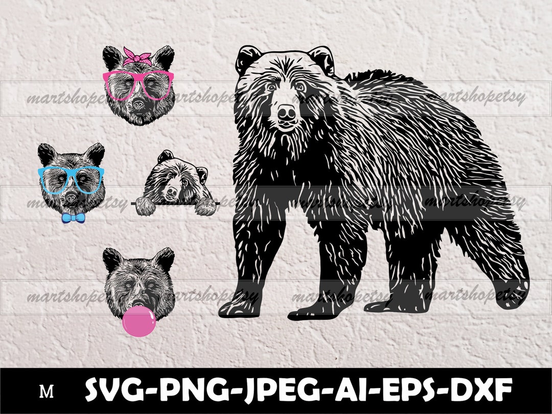 Bear Svg, Brown Bear Svg Bundle, Brown Bear Svg for Cricut, Brown Bear ...