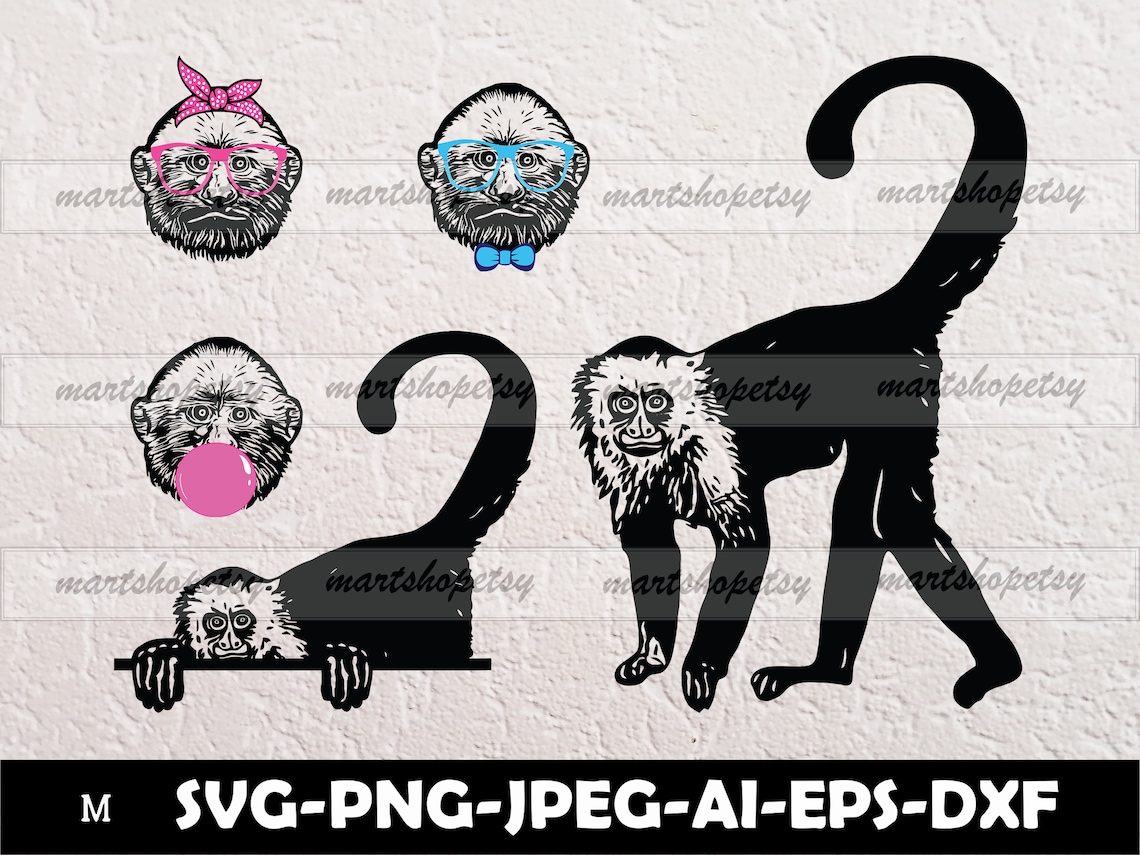 Monkey Svg Capuchin Monkey Svg Bundle Capuchin Monkey Svg | Etsy