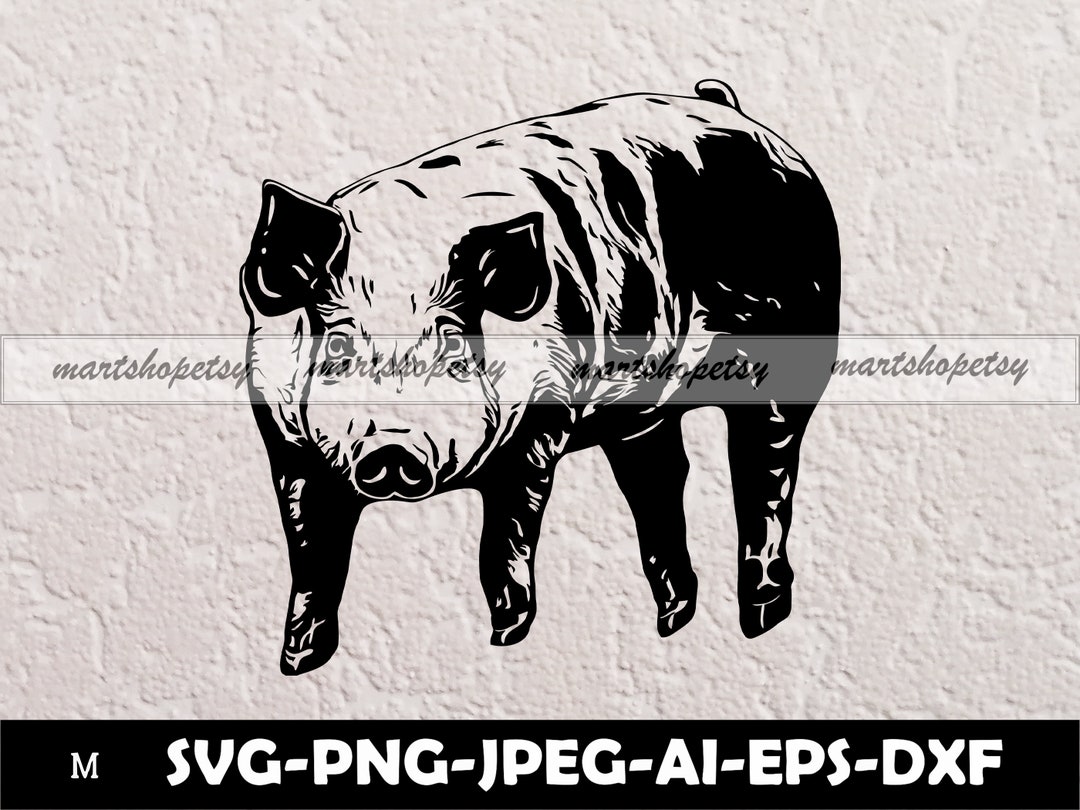 Pig4 svg, piggy svg para cricut-silhouette, cerdo dibujado a mano svg ...