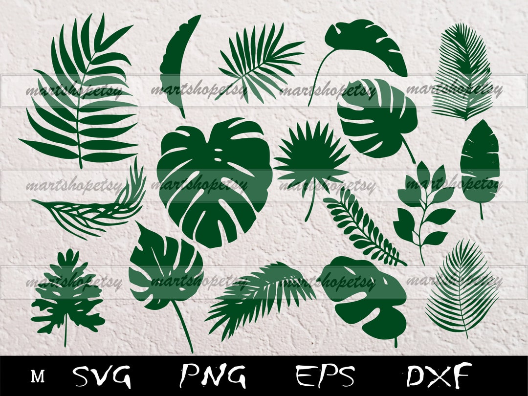 Botanical Leaf Svg, Leaf Svg Bundle, Botanical Leaf Svg for Cricut ...