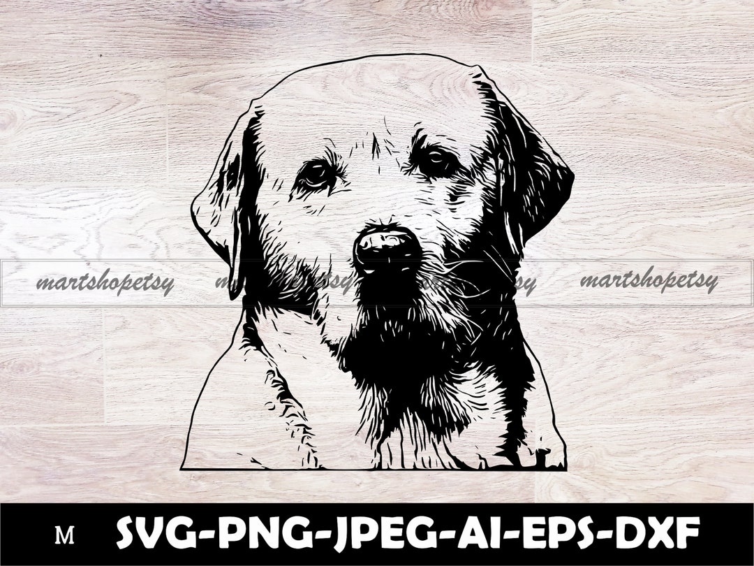 Labrador Retriever 1 Svg-png-eps-dxf-jpeg, Pet Lover, Dog Svg, Dog Face ...