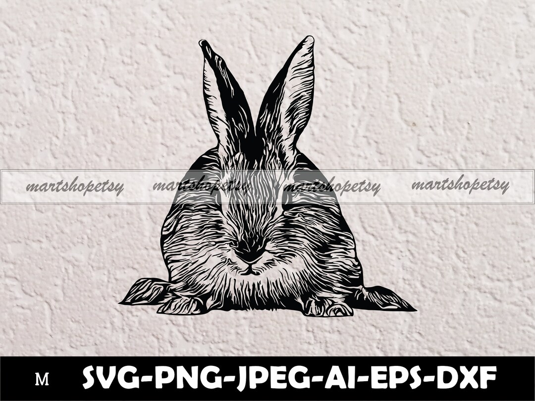 Rabbit 2 Svg, Rabbit Svg for Cricut-silhouette, Hand Drawn Rabbit Svg ...