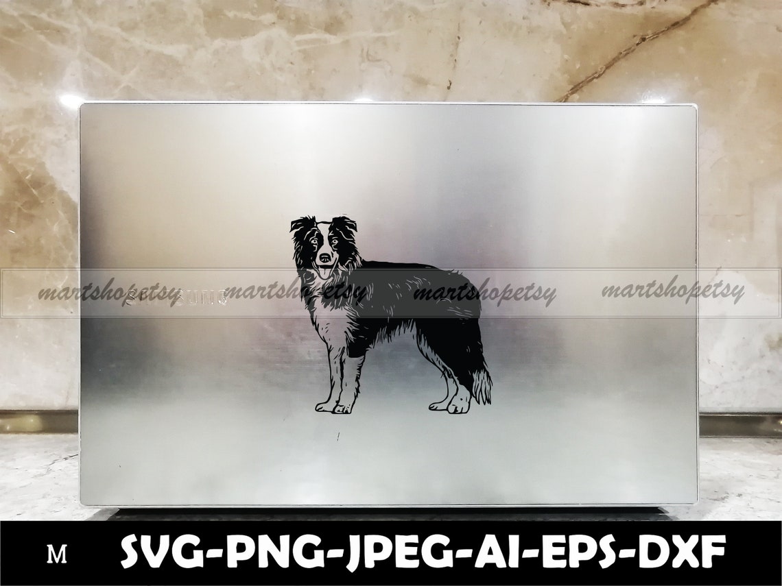 Border Collie Svg Border Collie Svg Bundle Dog Svg for | Etsy