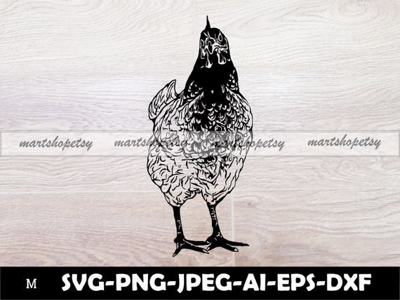 Chicken 3 Svg Hand Drawn Chicken Svg Chicken Svg for | Etsy