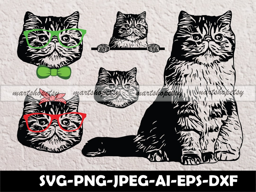 Persian Cat Svg Bundle Persian Cat Svg For Cricut Persian - Etsy España