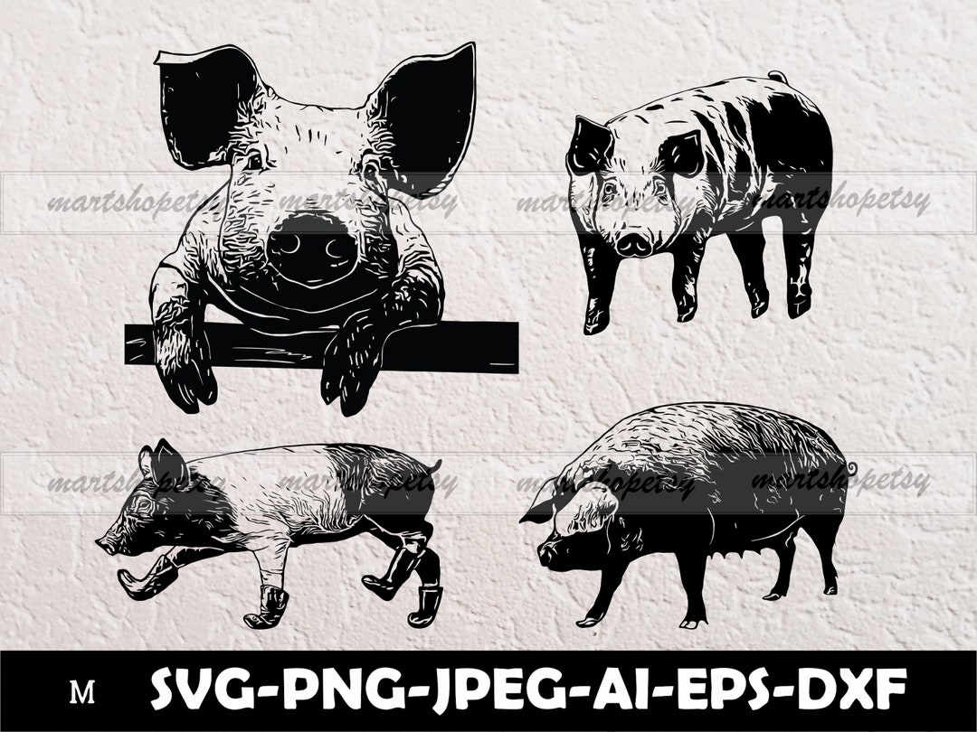 Pig Svg, Pig Svg Bundle, Pig Svg for Cricut-silhouette, Peeking Pig Svg ...