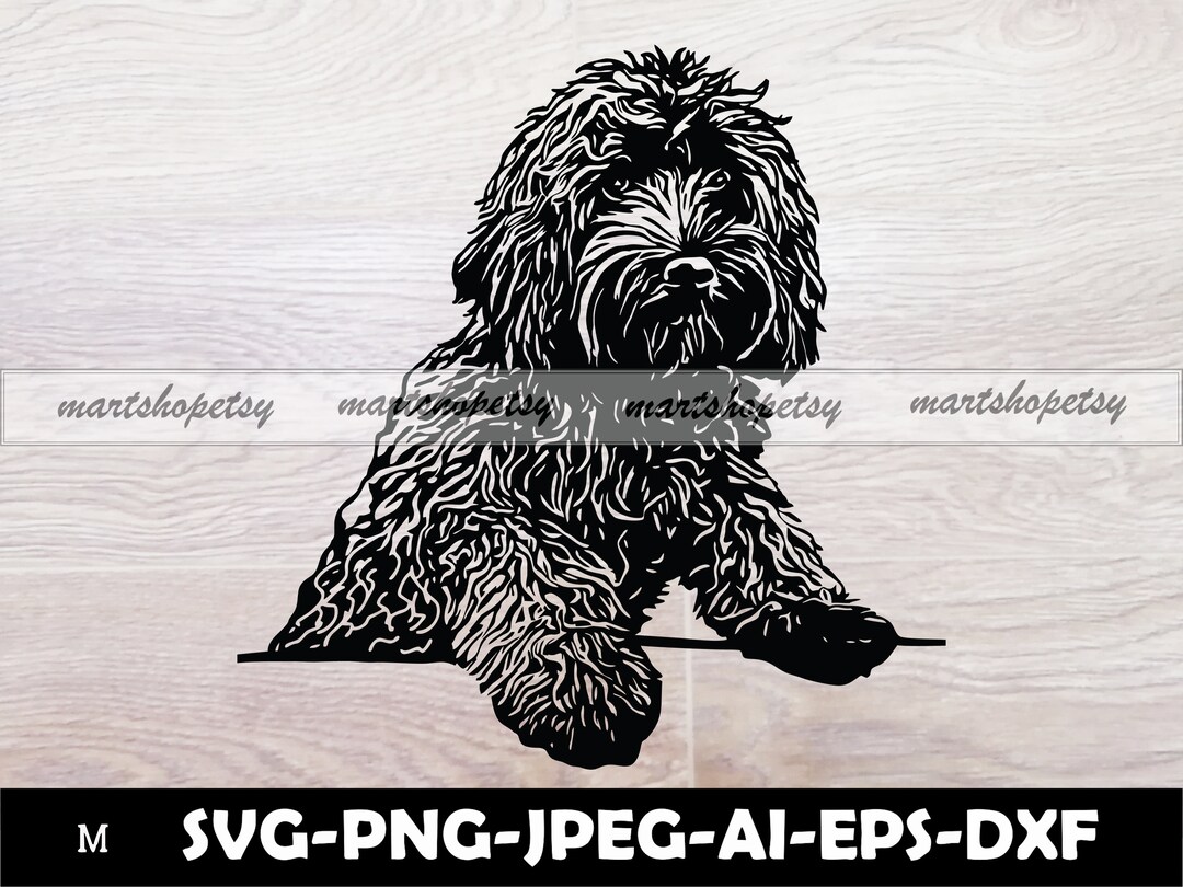 Labradoodle 1 Svg-png-eps-dxf-jpeg, Pet Lover, Dog Svg, Dog Face Svg ...