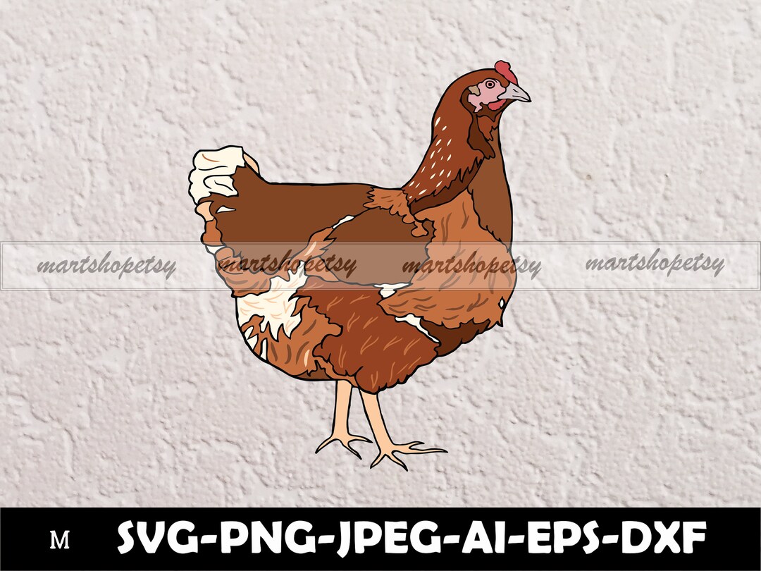 Chicken Layered 4 Svg, Hand Drawn Chicken Svg, Chicken Svg for Cricut ...